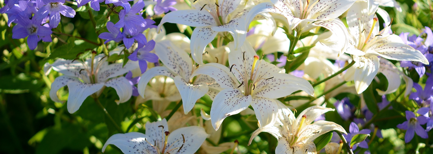 Cultural Humility Is Key to Caring for Communities of Color